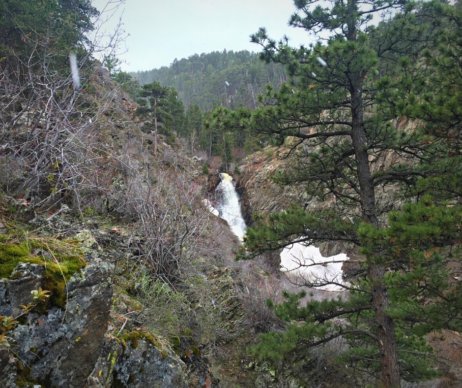 Bridle Trail Design and Re-Route - WLC