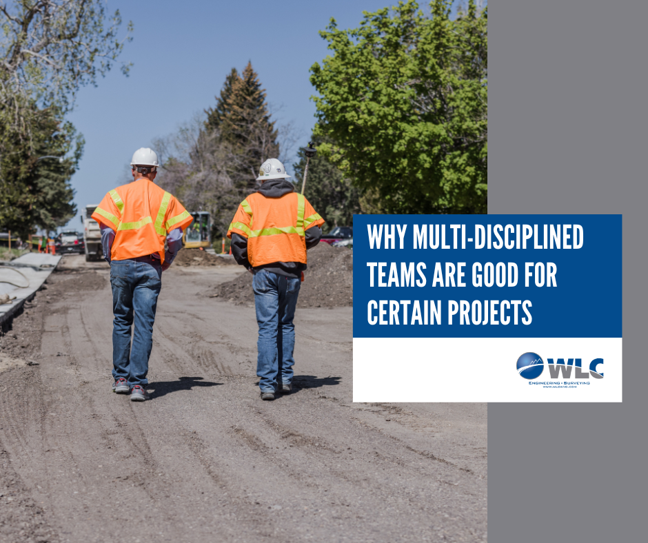 Why Multi-Disciplined Teams Are Good for Certain Projects - WLC